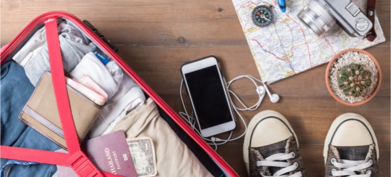 How to Protect Your Luggage From Bed Bugs | Travel Bedbug-Free